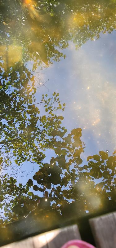 pond boss The Block Pond Tabs Bacteria 5 Pound(s) in the Pond Cleaners ...