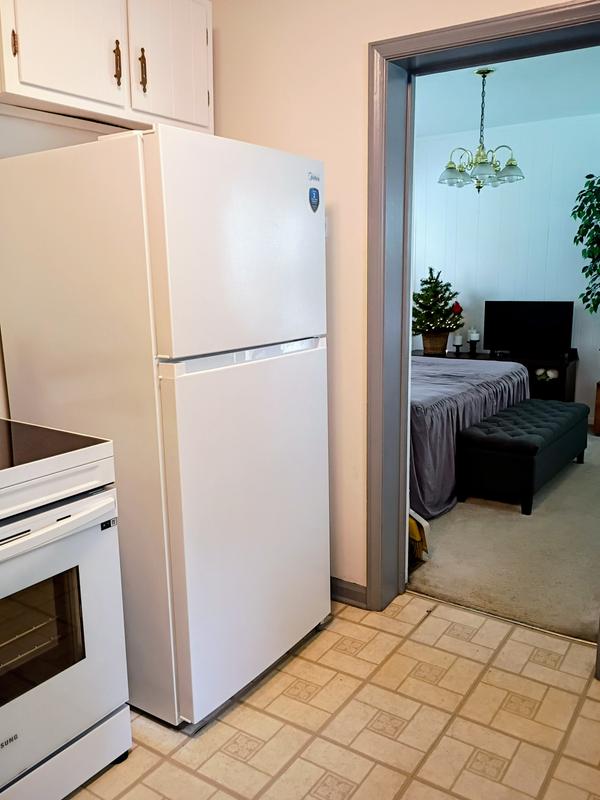 Shop 18.1-cu ft Top-Freezer Garage Ready Refrigerator with 30-in Gas ...