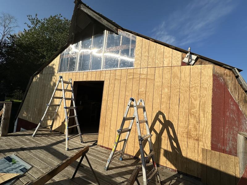 SUNLITE 3-ft x 8-ft Ribbed Clear Polycarbonate plastic Roof Panel in ...