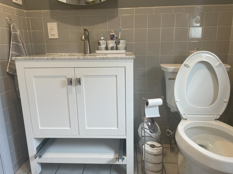 Eviva London 48-in Espresso Undermount Double Sink Bathroom Vanity with ...