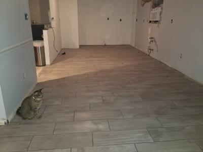 CERAMICAS TESANY Acadia Grey Gray 8-in x 24-in Glazed Ceramic Wood Look ...