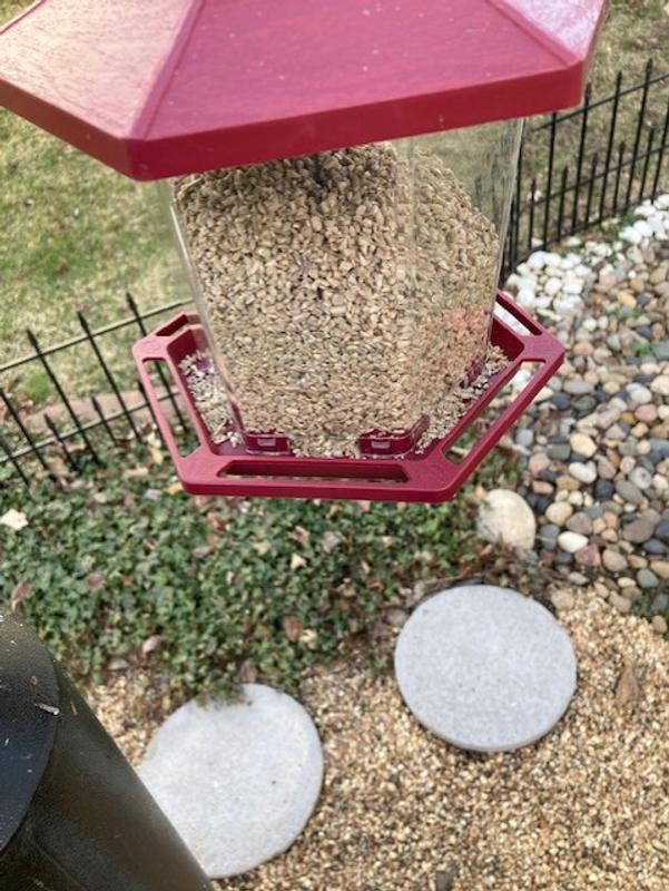 Pennington 2 Pack Select Sunflower Chips Ready-to-use Bird Seed 5-lb in ...