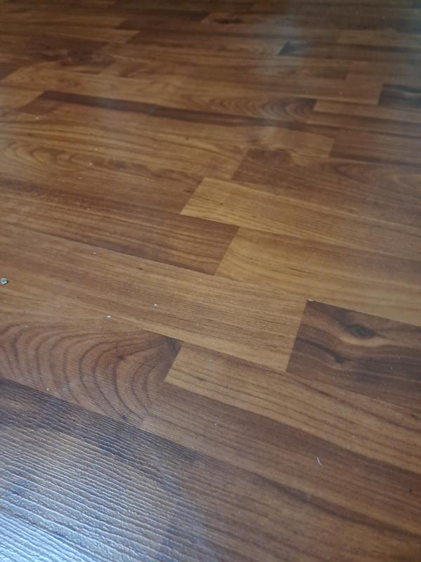 STAINMASTER PetProtect Arendal 20-mil x 9-in W x 60-in L Luxury Vinyl ...