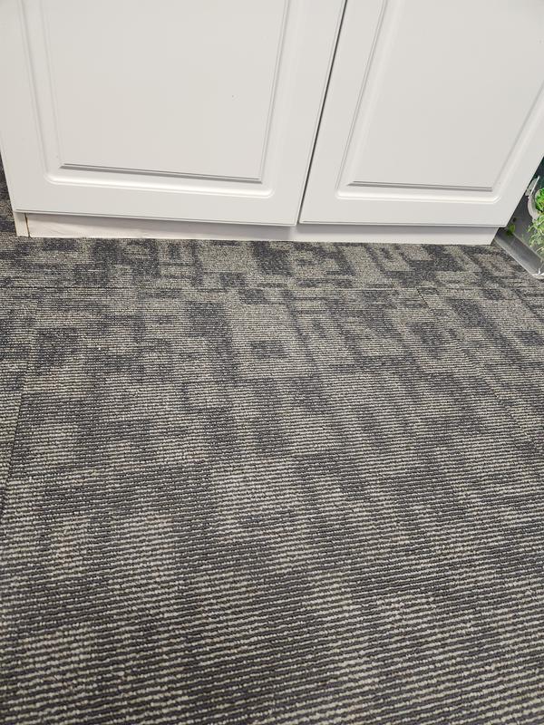 Shaw Sway 24-in x 24-in Modeled Gray Commercial Adhesive Indoor Carpet ...