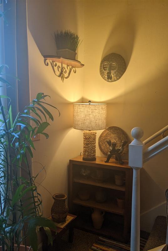 JONATHAN Y Elicia Coastal Water Hyacinth 25-in Dark Brown LED On/Off ...