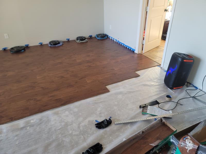 STAINMASTER PetProtect Wendover Oak Brown 20-mil x 7-in W x 48-in L ...