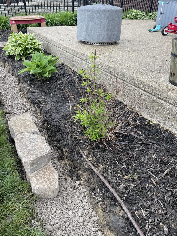 Shop Create a Tree Ring Garden at Lowes.com