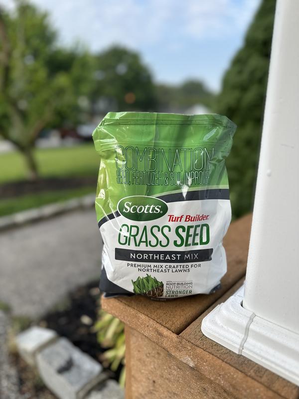Scotts Turf Builder Northeast Mix 2.4-lb Mixture/Blend Grass Seed 18025 ...