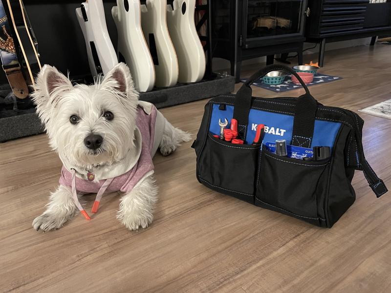 Kobalt Blue Polyester 12-in Zippered Tool Bag KB-77C-12 at Lowes.com