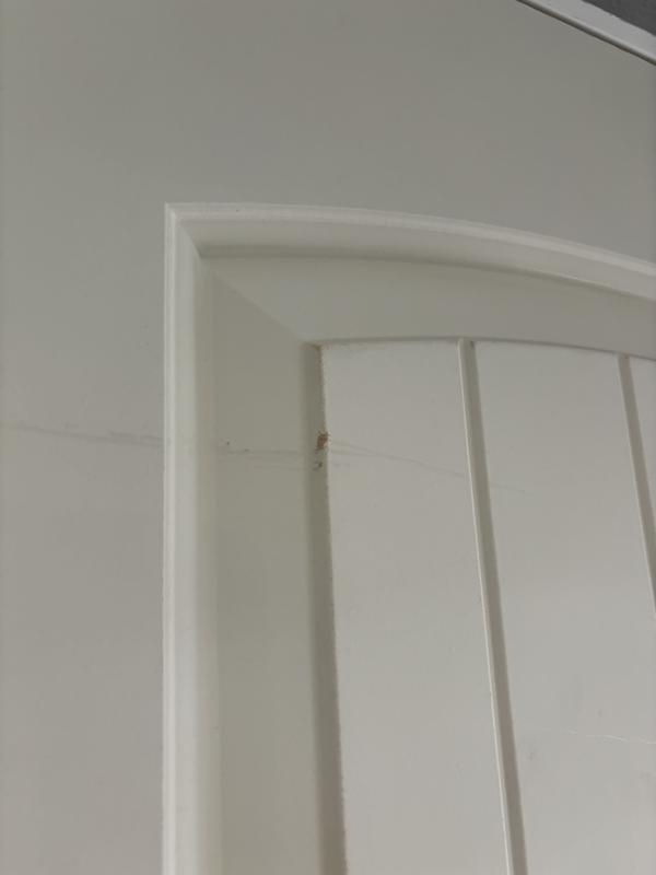 RELIABILT 32-in x 80-in Primed Hollow Core 2-panel Right Hand Molded ...