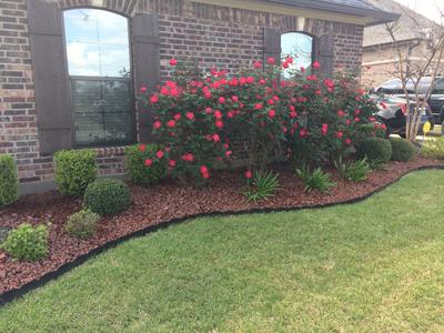 Garden Red Lava Rock - Garden Design Ideas