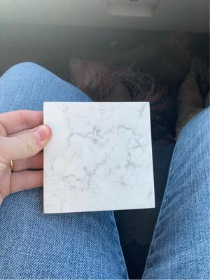 allen + roth Blushing Ivory Quartz White Kitchen Countertop SAMPLE (4 ...