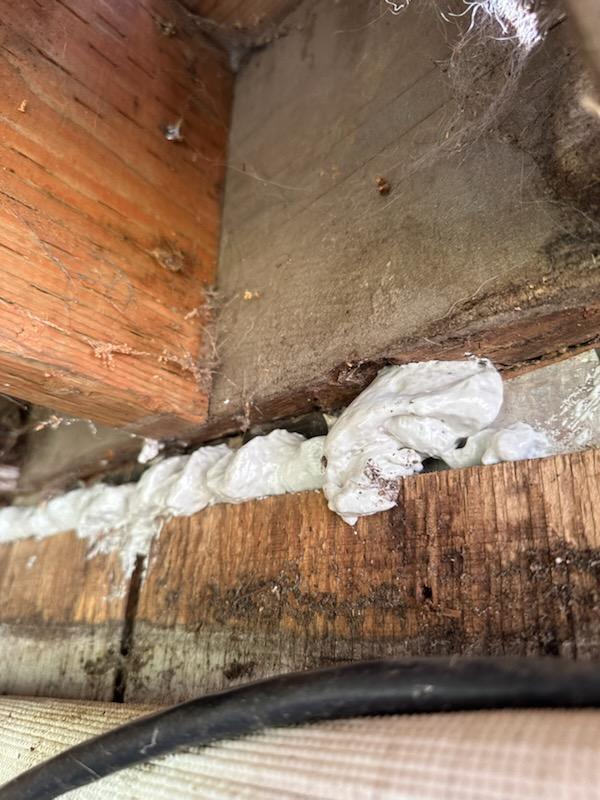 TOMCAT Rodent Block Expanding Foam Barrier Rat Prevent 4418510 at Lowes.com