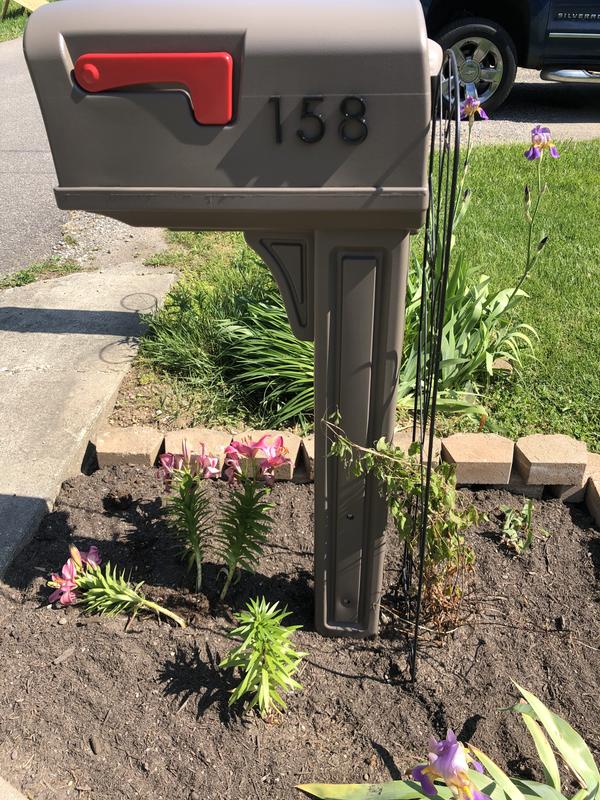 Architectural Mailboxes Post Mount Brown Plastic Standard Mailbox with ...