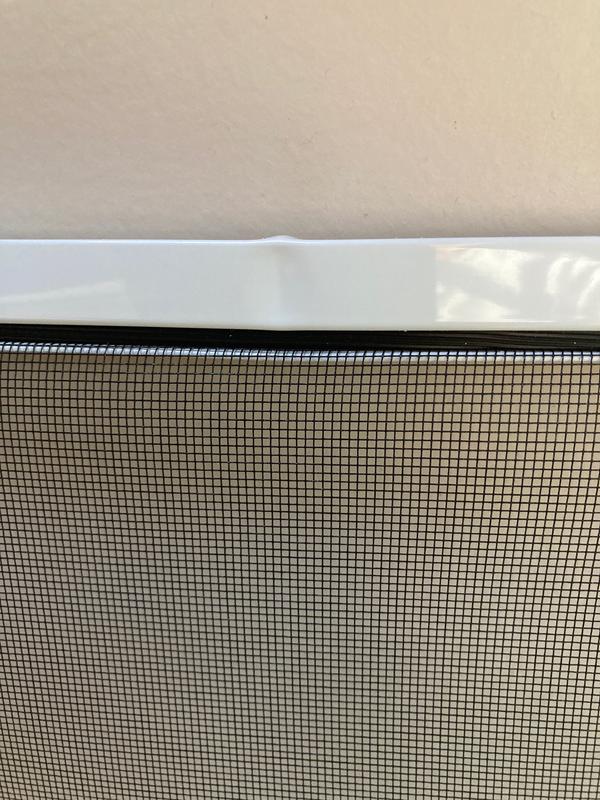 Pella 250 Series 35-1/2-in x 37-1/2-in White Exterior White Interior ...