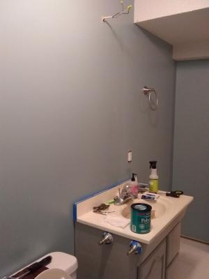 Valspar Blue Arrow 5001-3c Paint Sample (Half-Pint) at Lowes.com