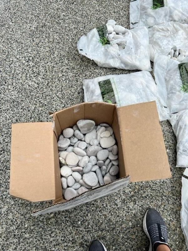 Rain Forest Grey and Tan Beach Pebbles 1-3-in 30lbs - River Rock for ...
