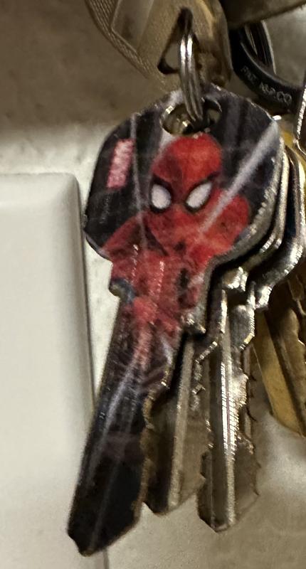 Hillman Spiderman Kwikset Brass House/Entry Key Blank 9976542 at Lowes.com