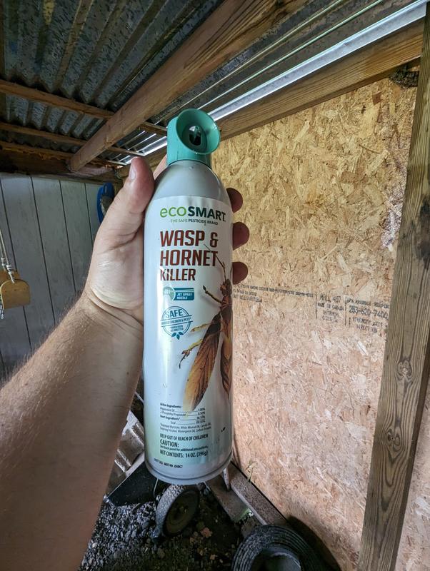 EcoSMART 14-fl oz Natural Insect Killer Aerosol (2-Pack) ECSM-33529 ...