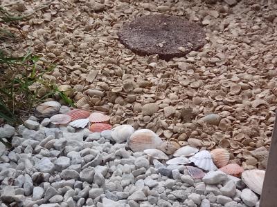 Sunniland 0.5-cu ft 23-lb Off-white Sea Shell (0.5- 3-in Rock Size ...