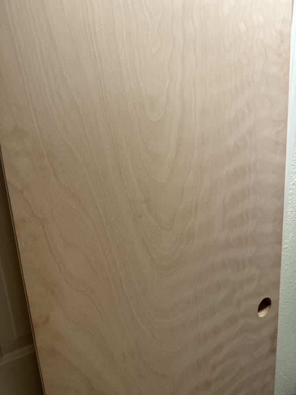 RELIABILT 30-in x 80-in Unfinished Flush Textured Hollow core Unfinished Lauan Wood Slab Door ...