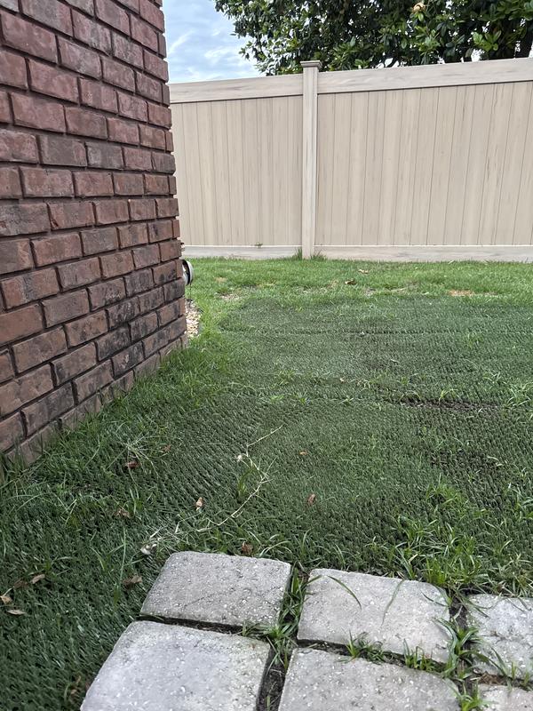 DURAGRASS Artificial grass 3-ft Artificial Grass in the Artificial ...