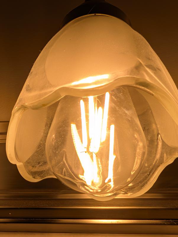Utilitech Led light bulb 60 -Watt EQ ST19 Daylight Medium screw base ...