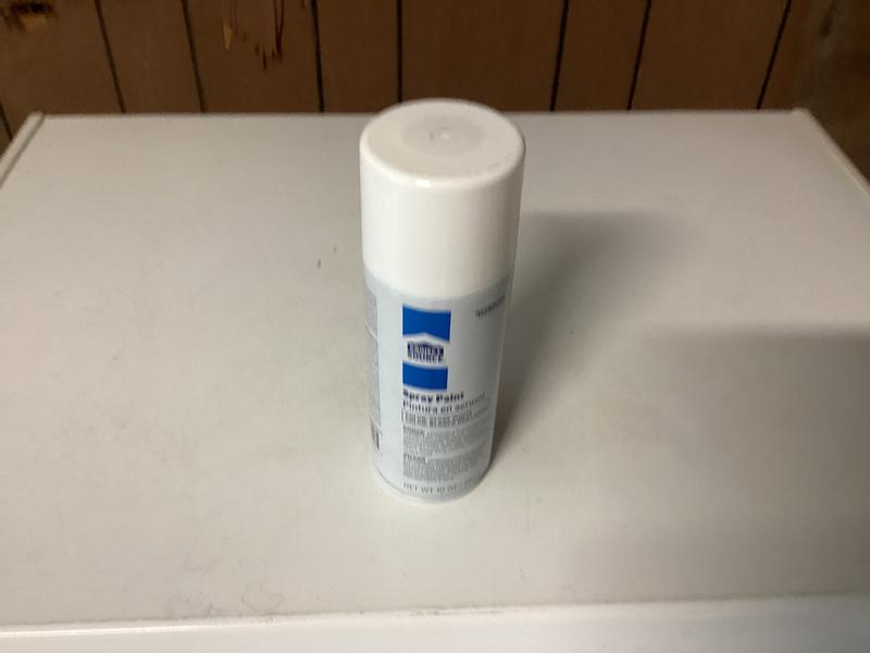 Project Source Gloss White Spray Paint (NET WT. 10-oz) LPS632007 at ...