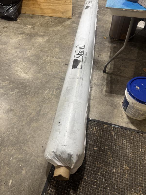 STAINMASTER PetProtect with LeakDefense Animal Instincts II Rain Cloud ...