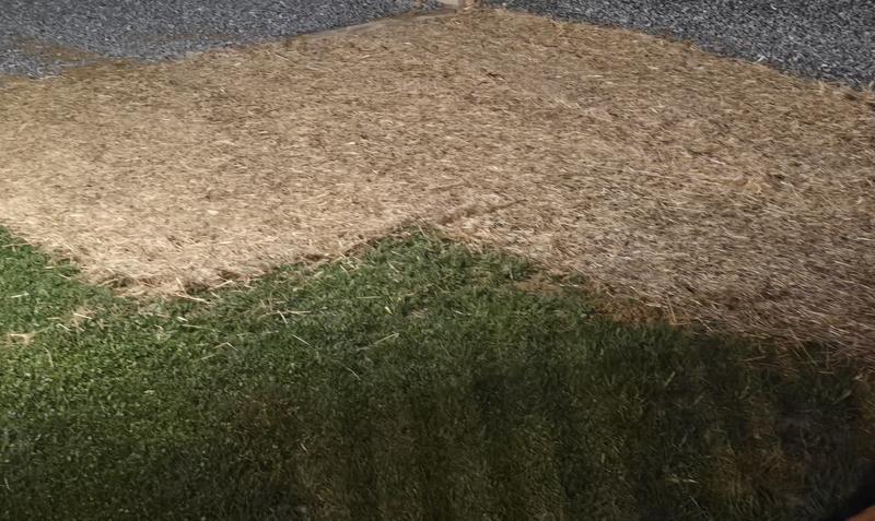 Scotts 100-ft x 6-ft Straw Seed Blanket 87668 at Lowes.com