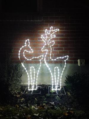 Holiday Living 48.5-in Buck and Doe Sculpture with White LED Lights at ...