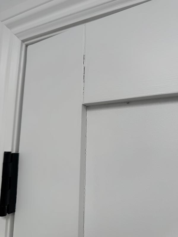 JUJUBON 24-in x 80-in White Quickly Assemble Jamb Solid Core 1-panel ...