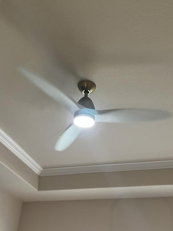 Fanimation Studio Collection Prop 52-in Brushed Satin Brass with Matte ...