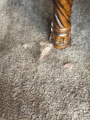 Surya Athena 5 X 8 (ft) Wool Butter Indoor Abstract Industrial Area Rug ...
