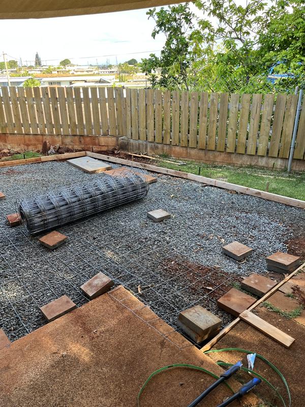 5-ft x 150-ft Steel Wire Mesh Roll in the Remesh department at Lowes.com