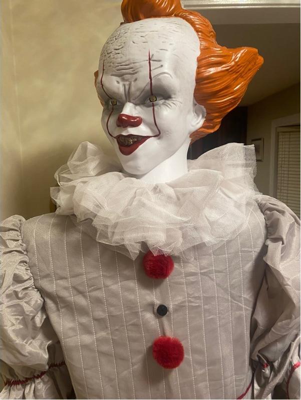 Shop Warner Brothers Pennywise Collection at Lowes.com