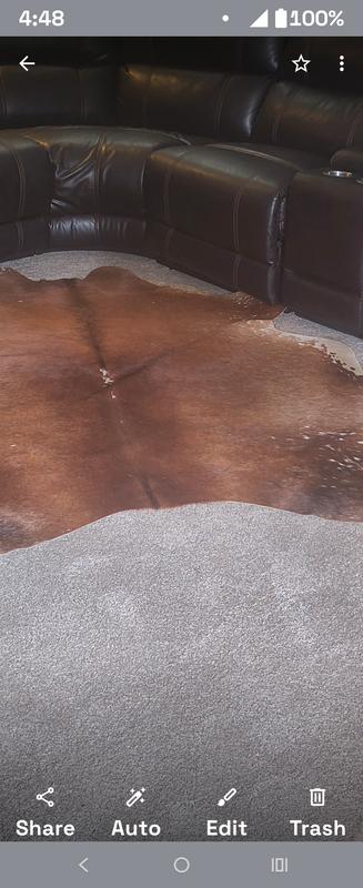 STAINMASTER Marvel I 12 Silence Brown 48.8-oz sq yard Solution-dyed ...