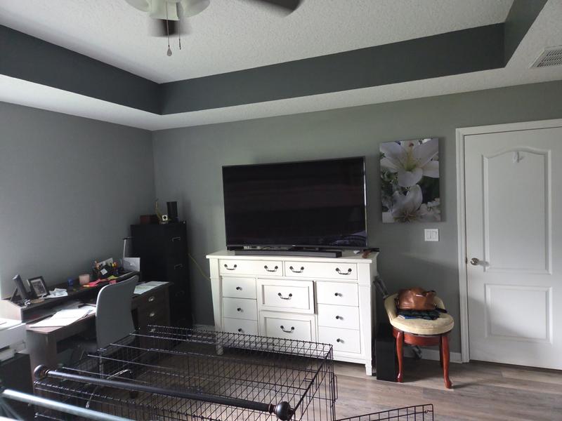 Valspar Ultra Semi-gloss Dark Bronzetone HGSW2501 Latex Interior Paint ...