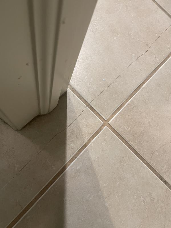 CalFlor Tilefix Tile and Stone Repair Kit 7.3 Ounce(s) Multiple Multi ...