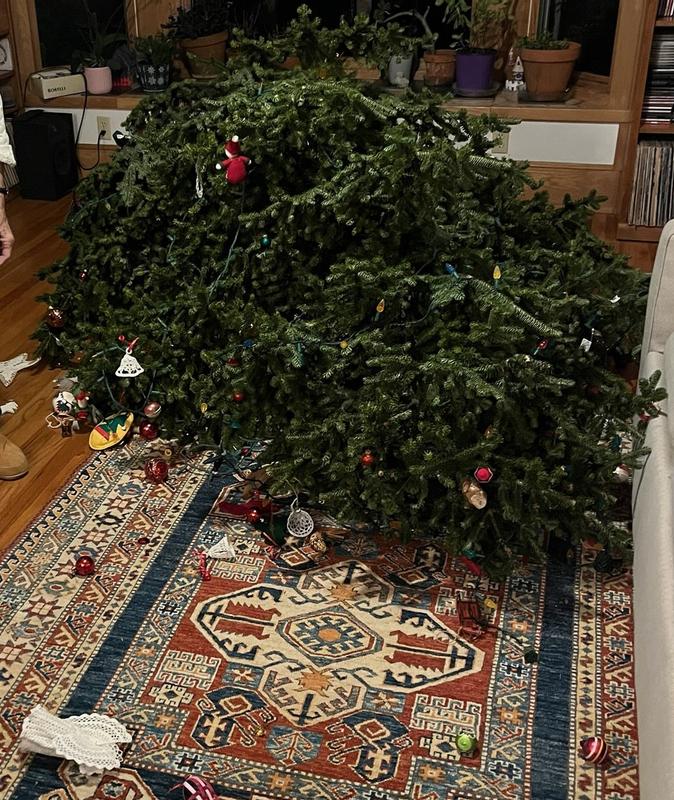 Lowe's 19-in Plastic 8-ft Tree Stand 519-ST-LC at Lowes.com