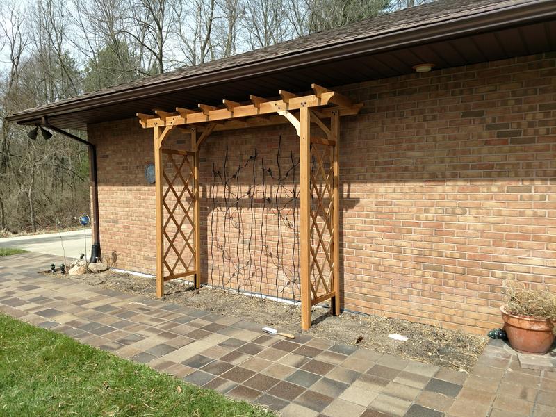 Vita Mezza 7.08-ft W x 7.44-ft H Golden Brown Garden Arbor VA68898 at ...