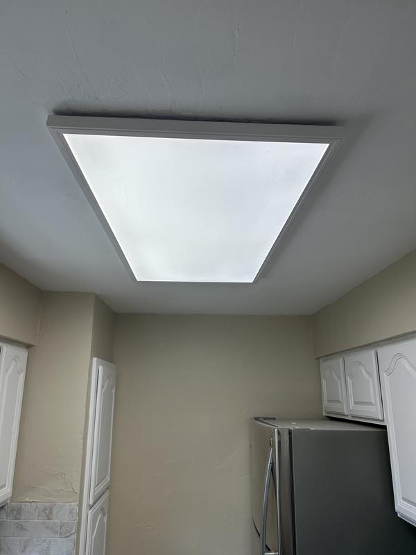 Shop Lithonia Lighting 2-ft x 4-ft Daylight LED Panel Light & Southwire ...