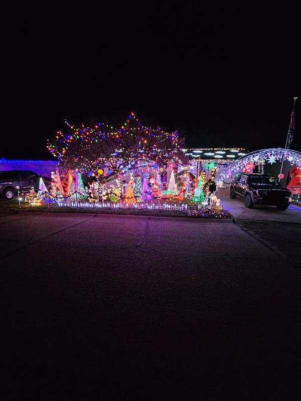 Holiday Living 3-ft LED Basset Hound Dog Christmas Inflatable 881105 at ...