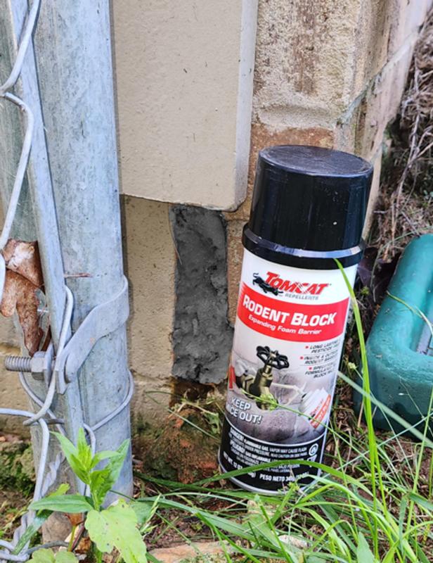TOMCAT Rodent Block Expanding Foam Barrier Rat Prevent 4418510 at Lowes.com