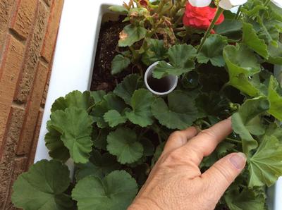 Mayne Square 15.4-in W Medium Black Resin Outdoor Planter With Drainage ...