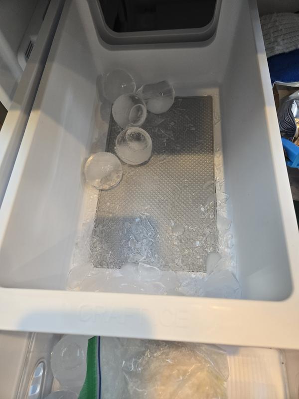 Shop LG French Door Refrigerator with Dual Ice Maker & Gas Air Fry ...