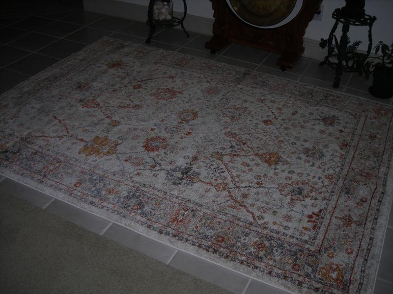 allen + roth with STAINMASTER Camille Border 5 X 8 (ft) Beige Indoor ...