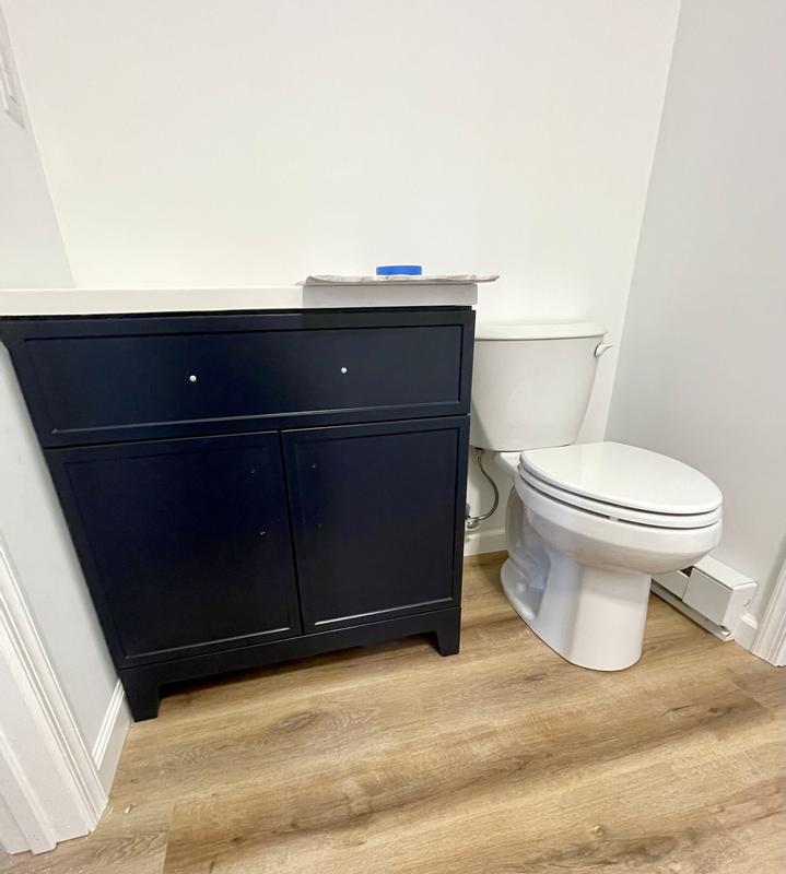 Style Selections Potter 30-in Blue Single Sink Bathroom Vanity with ...