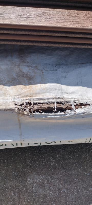 Trex Enhance Basics 1-in x 6-in x 8-ft Tide Pool Square Composite Deck ...