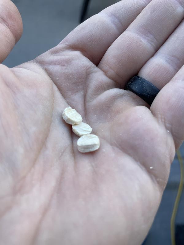 Milescraft 3-Piece Tapered Plug Cutter Set - 1/4-In, 3/8-In, and 1/2-In ...